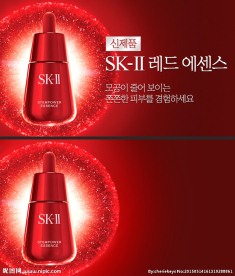 sk2图片大全,sk2设计素材,sk2模板下载,sk2图库_昵图网 soso.nipic.com